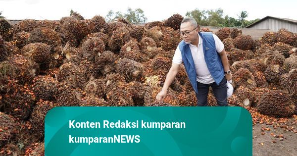 Zulhas Kampanyekan Anak saat Bagi Migor: Penyalahgunaan Kekuasaan ... Zulhas Kampanyekan Anak saat Bagi Migor: Penyalahgunaan Kekuasaan ...